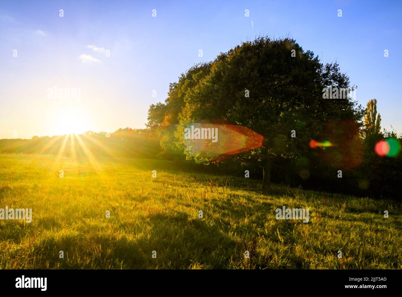 A scenic view of the sun rising on the hills and trees Stock Photo - Alamy