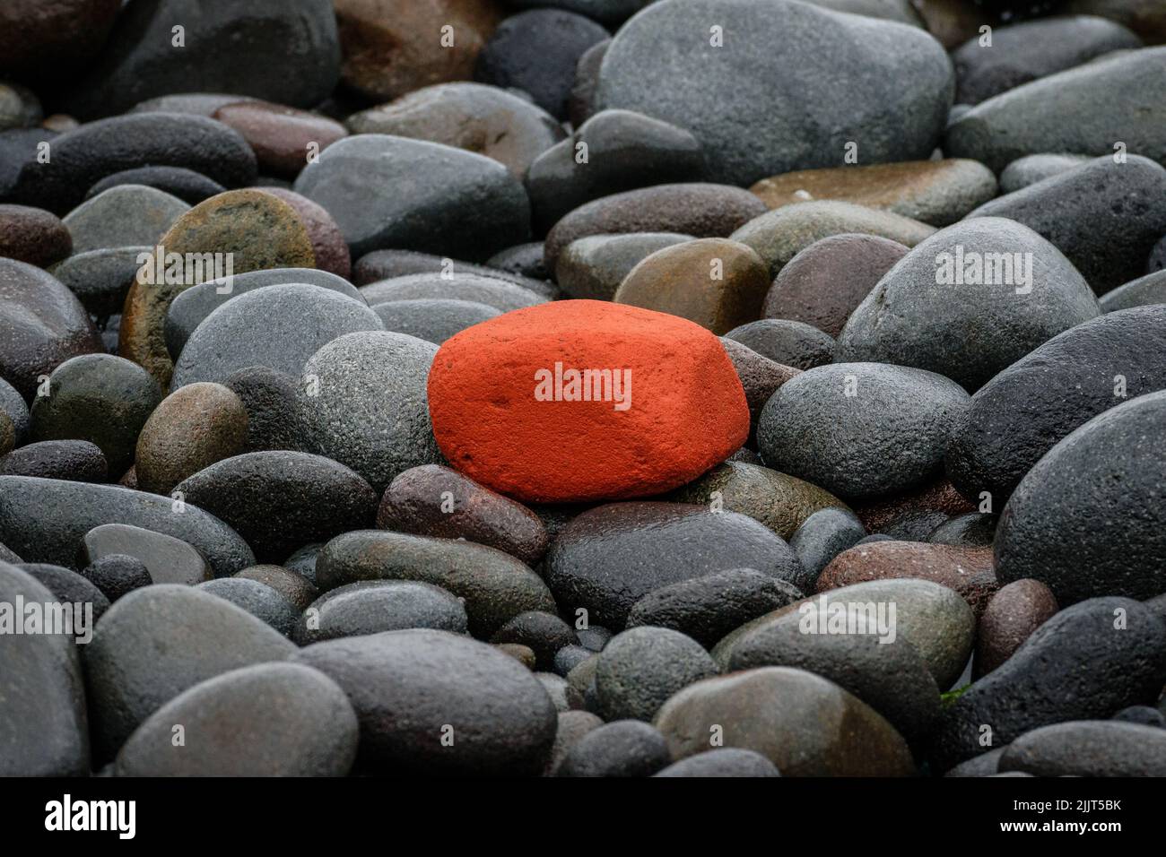 An orange rock surrounded by gray stones on the ground Stock Photo - Alamy