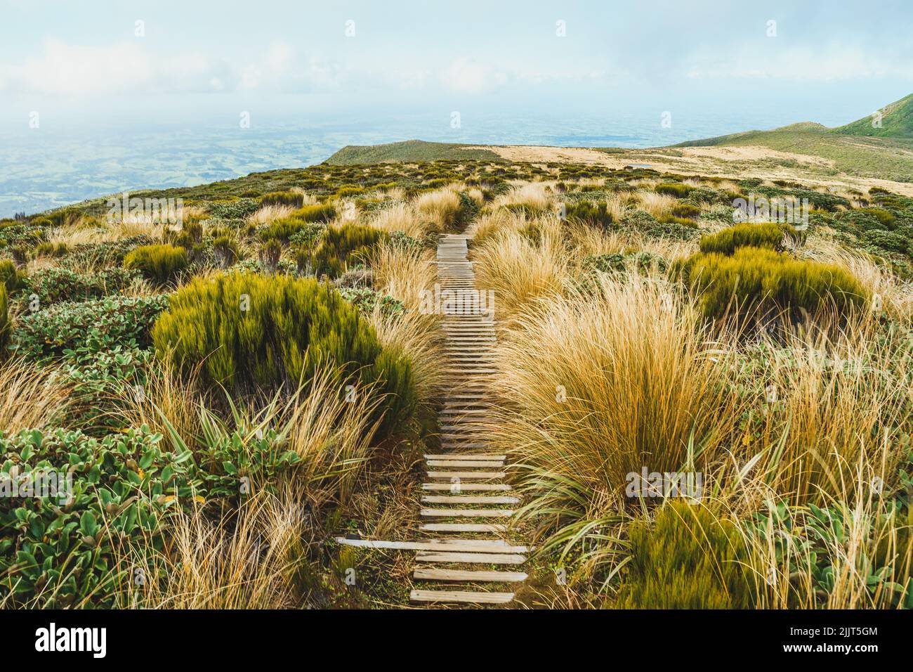 A natural view of a wooden pathway in Egmont-national park, New Zealand ...