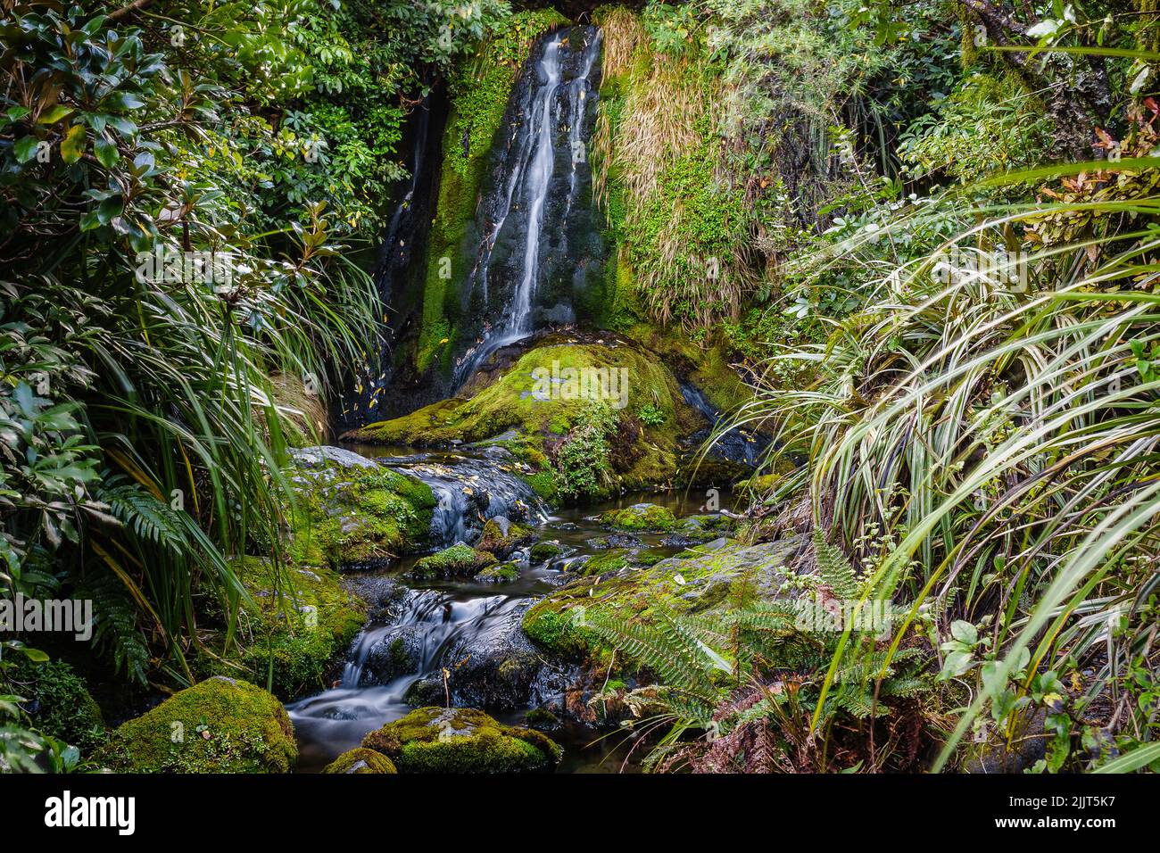 Dawson falls hi-res stock photography and images - Alamy