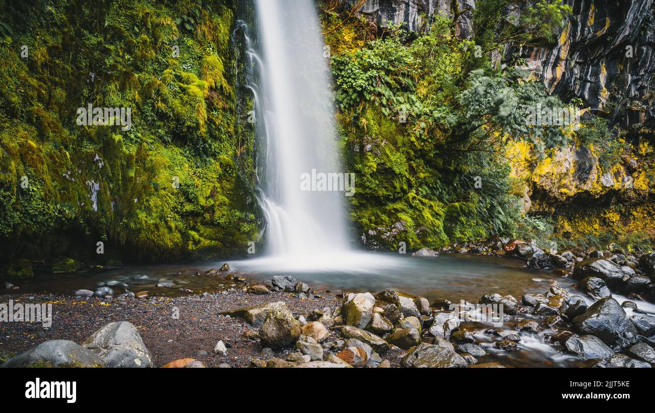 Dawson falls hi-res stock photography and images - Alamy