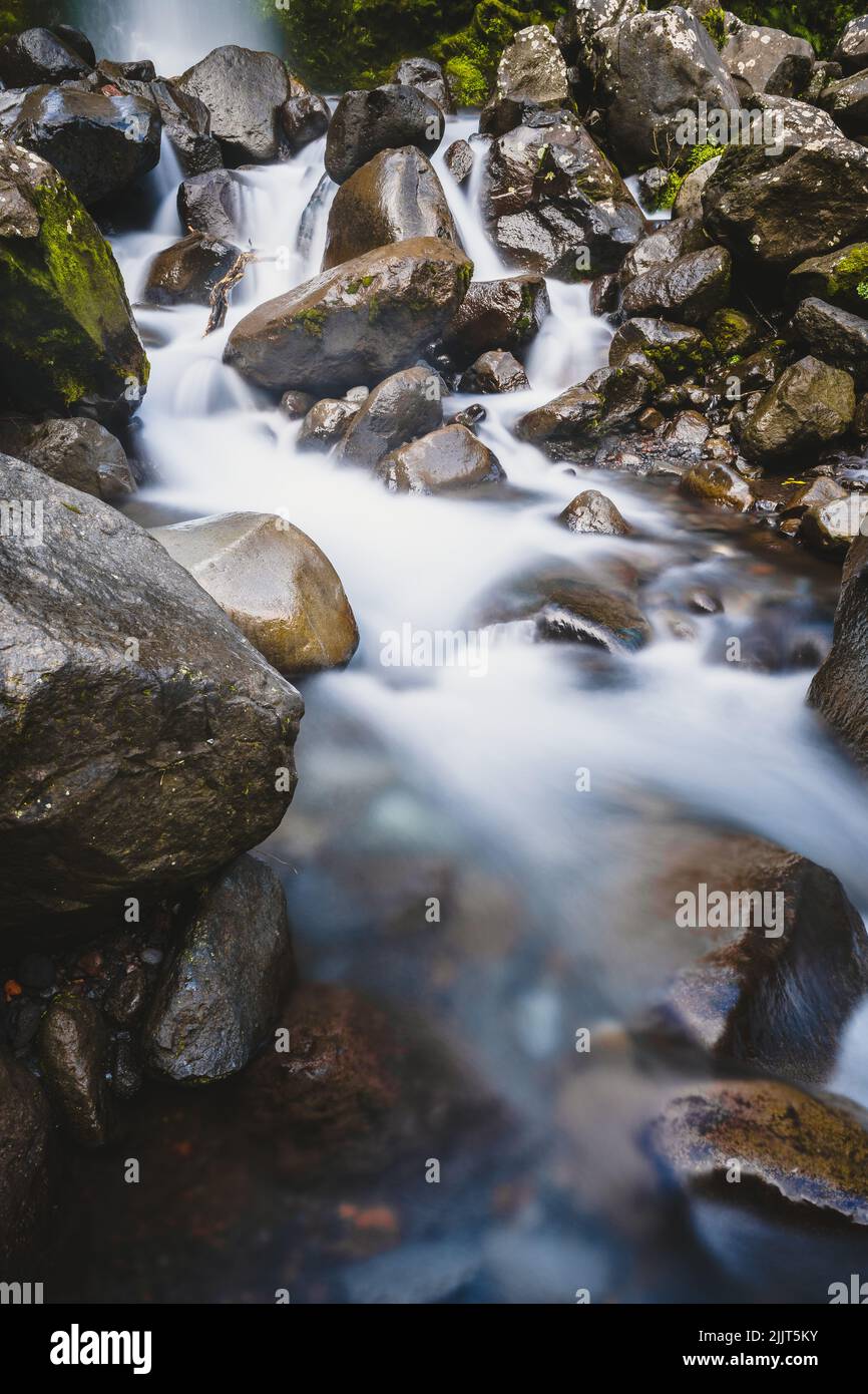 A vertical shot of Dawson falls Egmont-National park in New Zealand ...