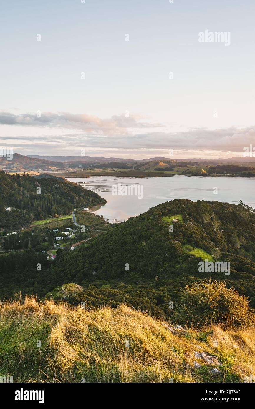 A vertical shot of the St Paul's Rock (Ohakiri) nature preserve in ...