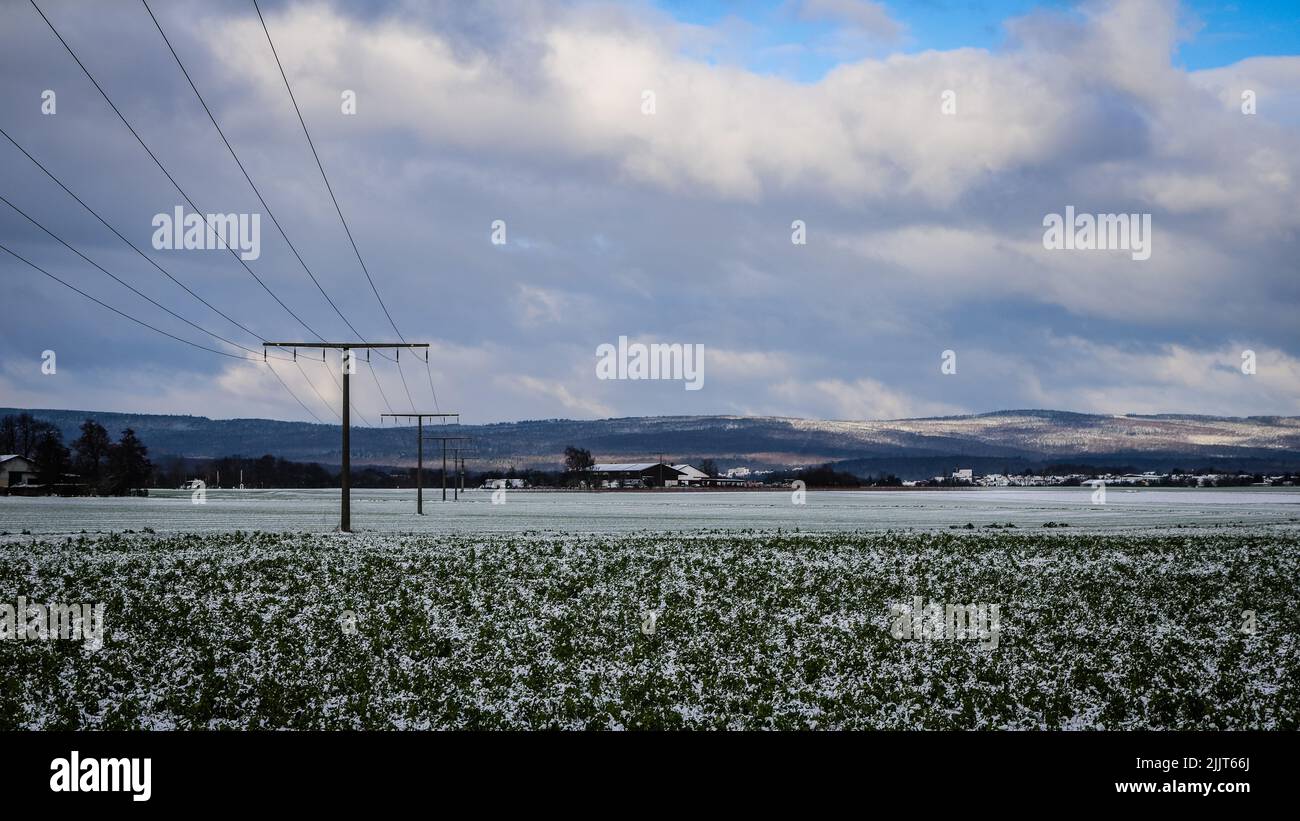 Collection farm cotton hi-res stock photography and images - Alamy