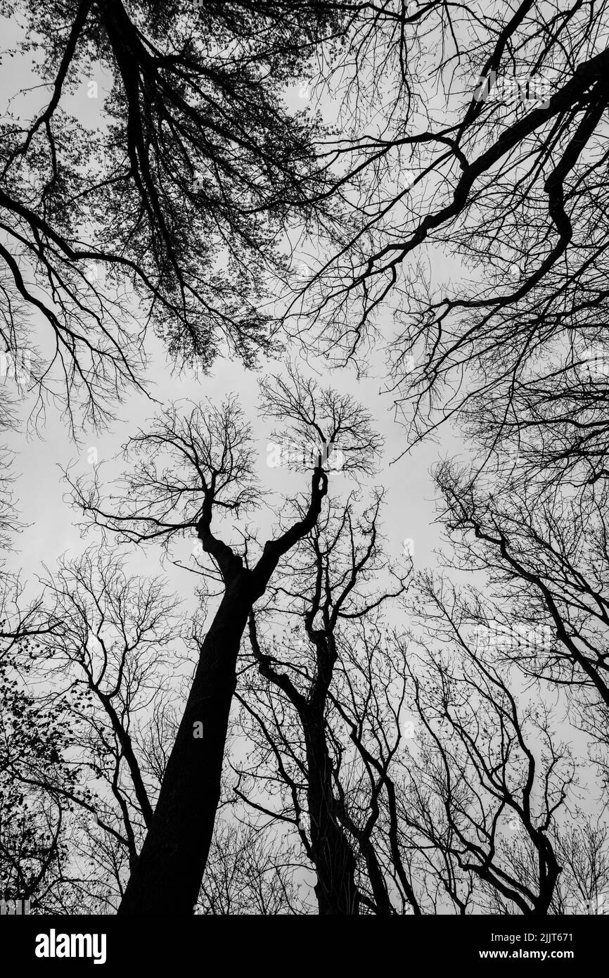 High angle shot urban Black and White Stock Photos & Images - Alamy