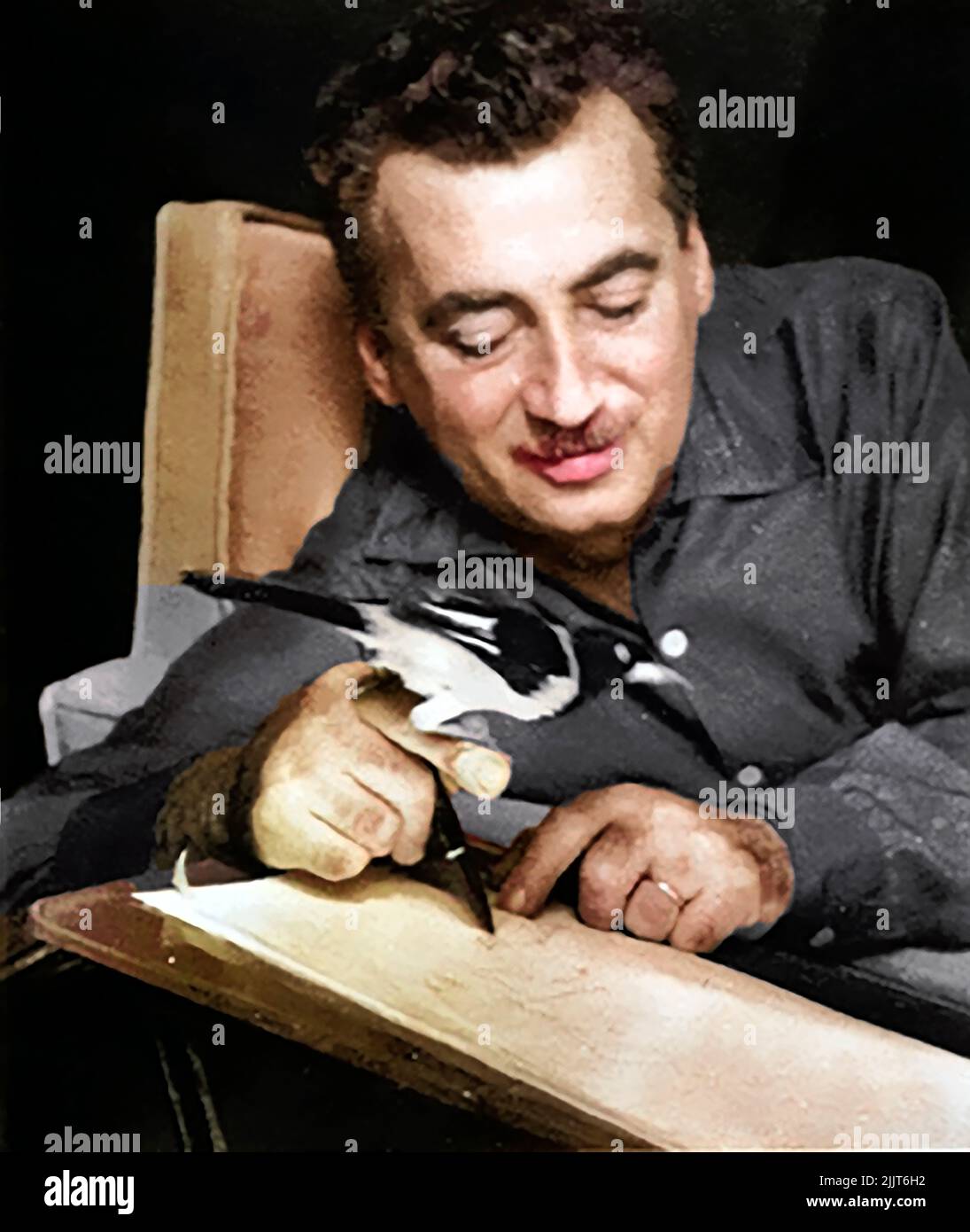 Amado jose hi-res stock photography and images - Alamy