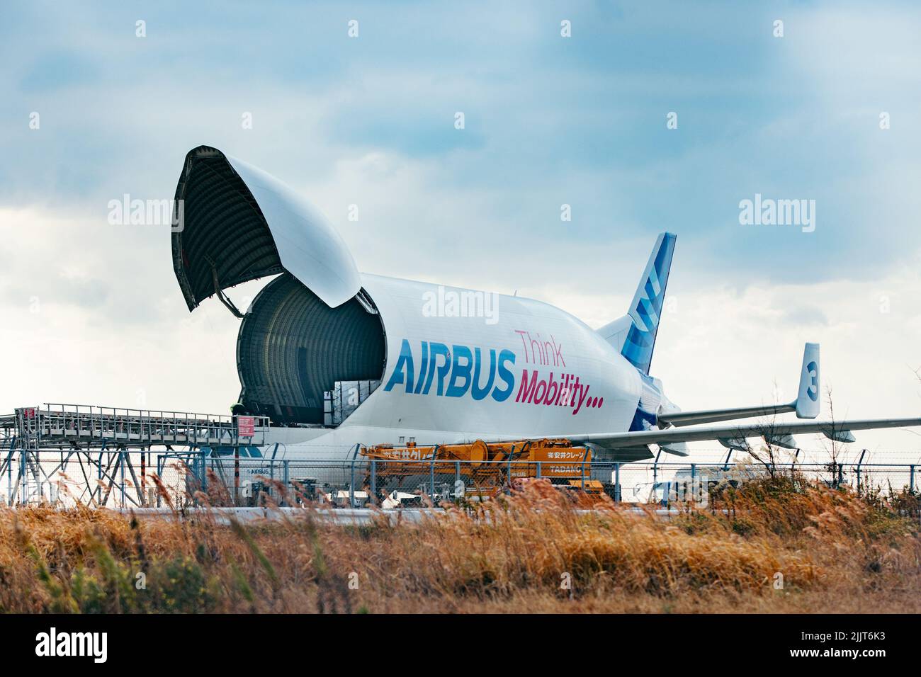 A view of Airbus plane with open trunk Stock Photo - Alamy
