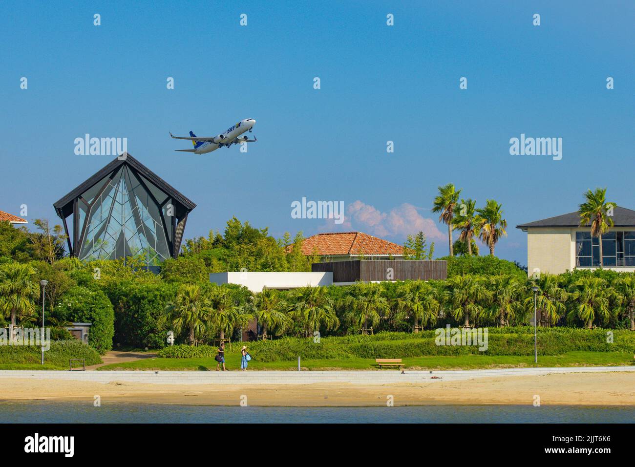 A view of the plane flying over the beach with palms and buildings ...