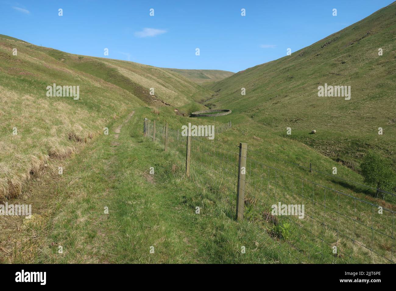 The Southern Upland Way Scotland's Great Trails long-distance footpath ...
