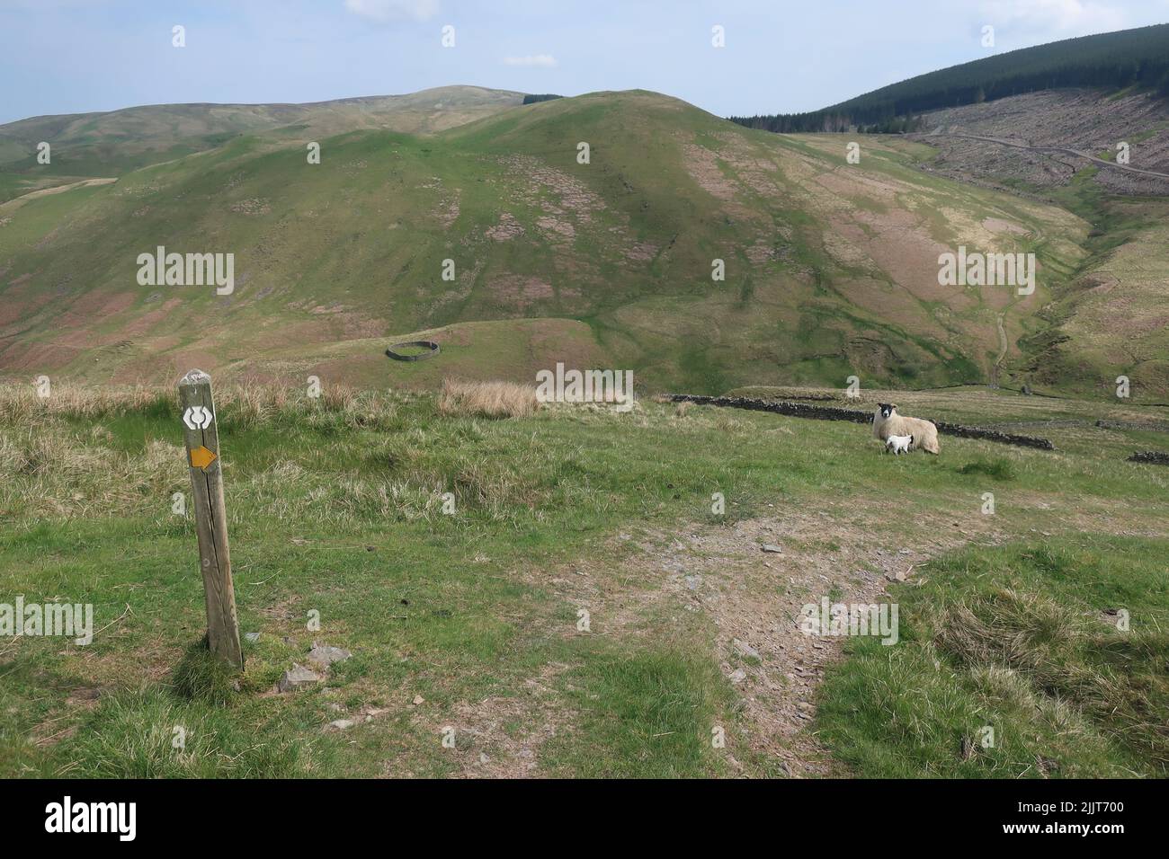 The Southern Upland Way Scotland's Great Trails long-distance footpath ...