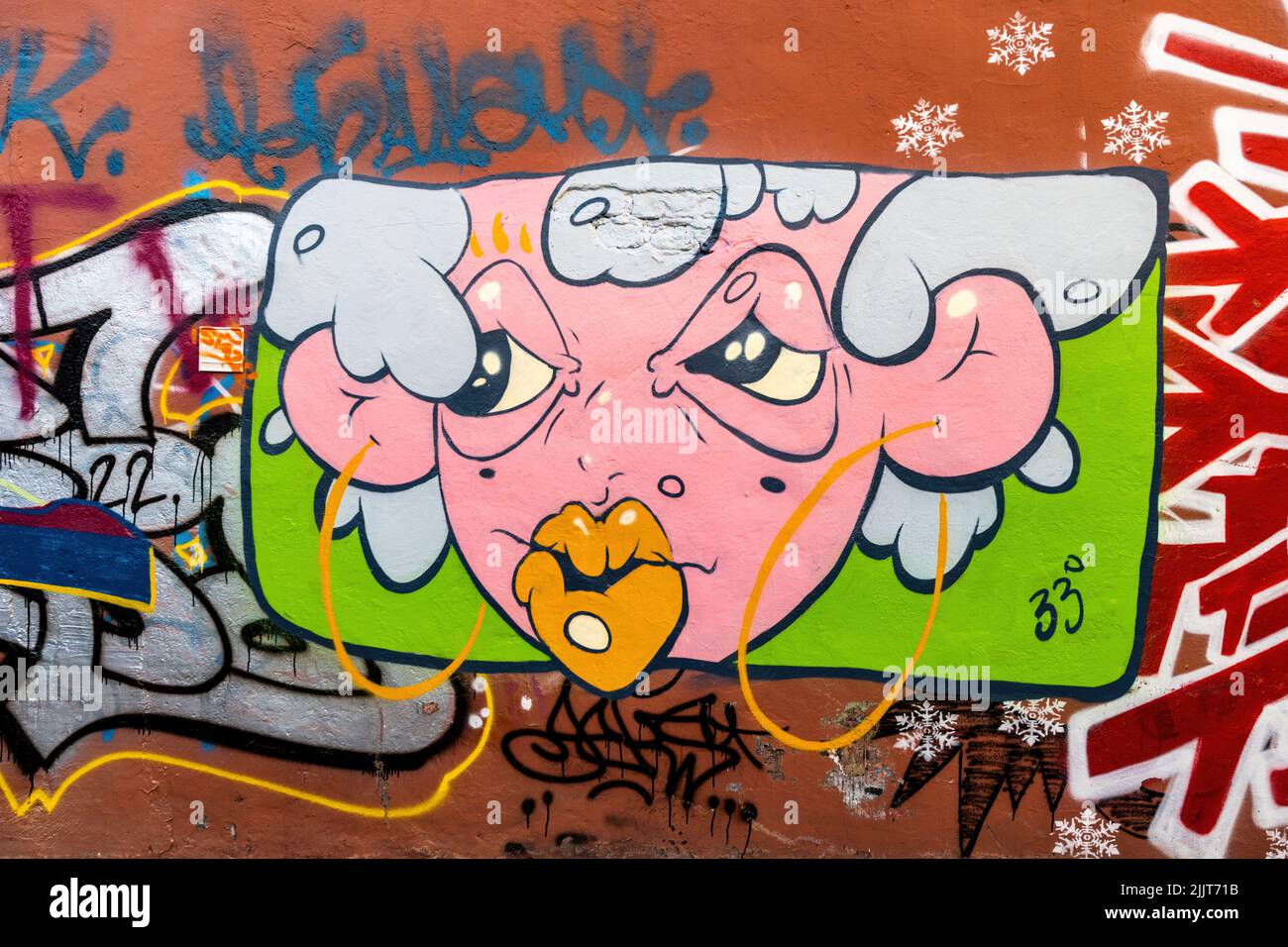 A shot of Social graffiti street art painting of an old lady with grey hair and orange hoops on ...