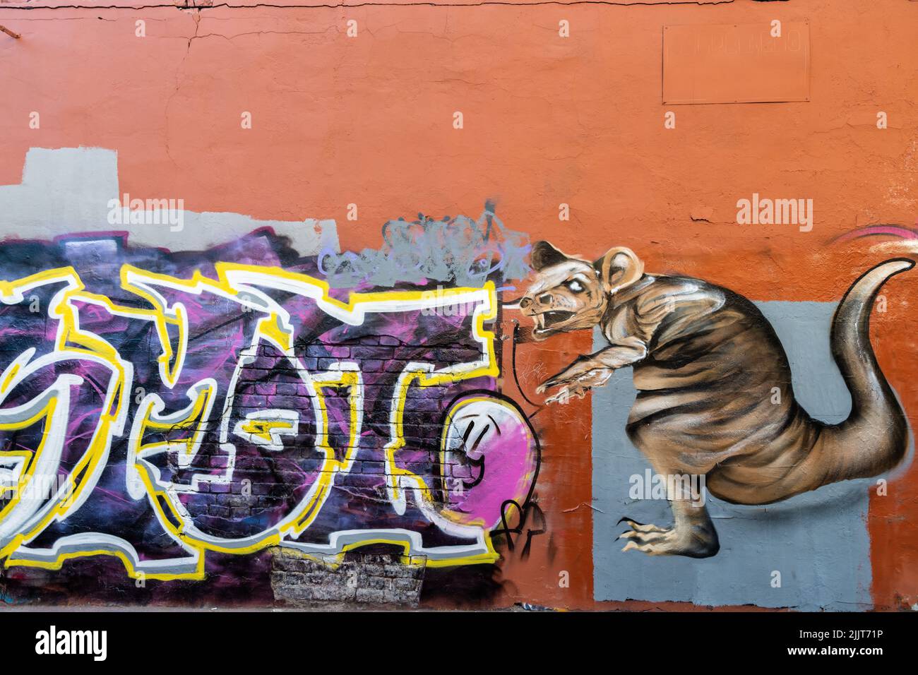 Rat mural hi-res stock photography and images - Alamy