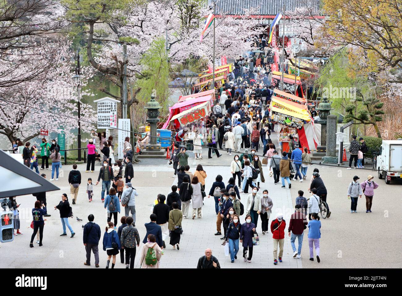 A beautiful shot of cherry blossom in Ueno Temple in Japan Stock Photo ...