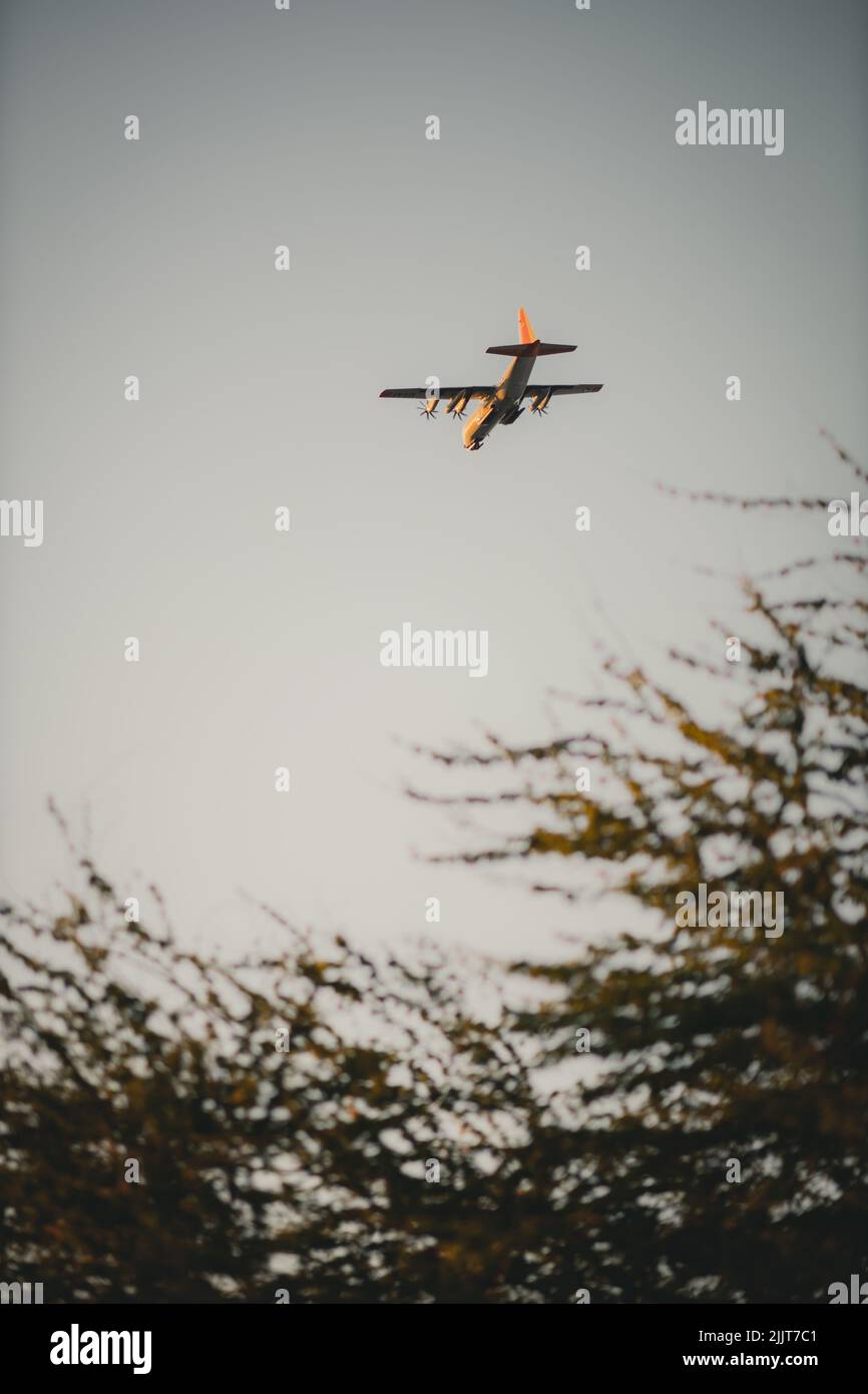the vertical shot of the plane flying to the vacation destination Stock ...