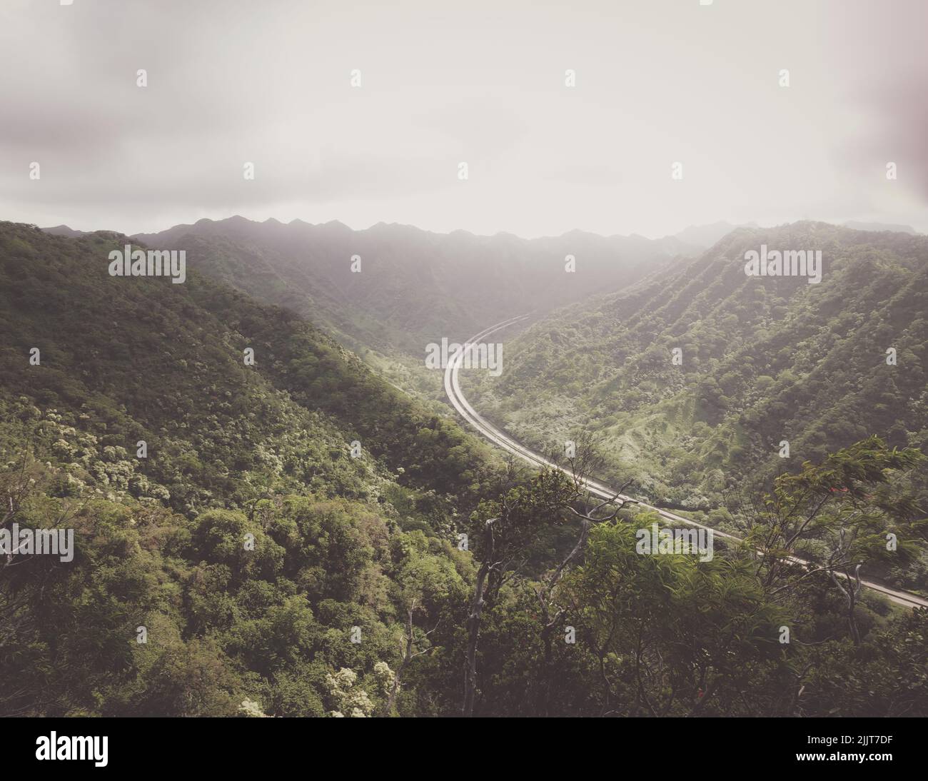 The Aiea Loop Trail in Hawaii Stock Photo - Alamy