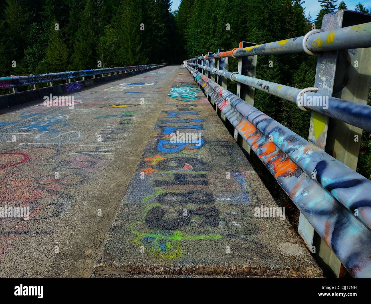 The High Steel Bridge in Washington, the USA covered in graffiti Stock ...