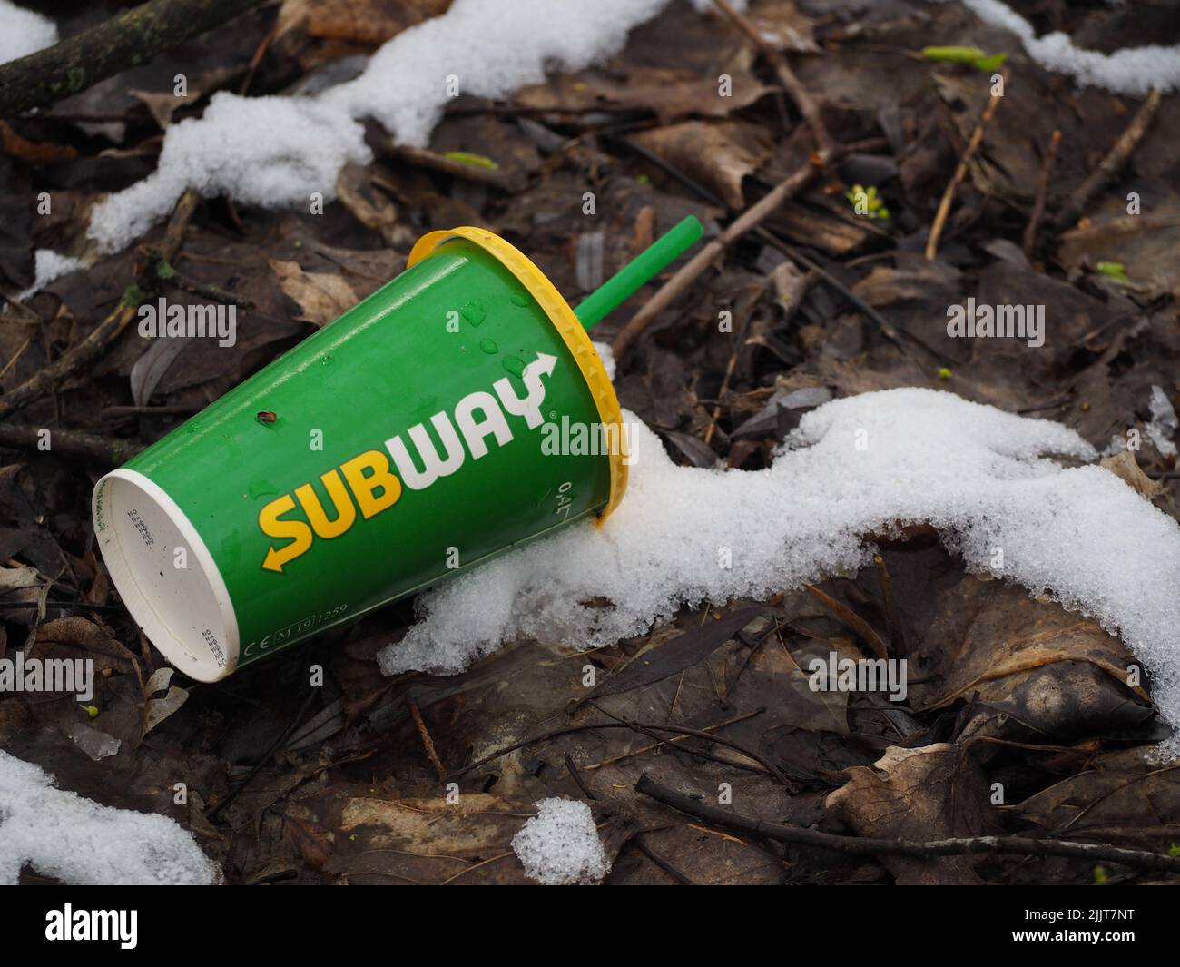 Cup from fast food chain Subway in the woods (Made of plastic Stock ...