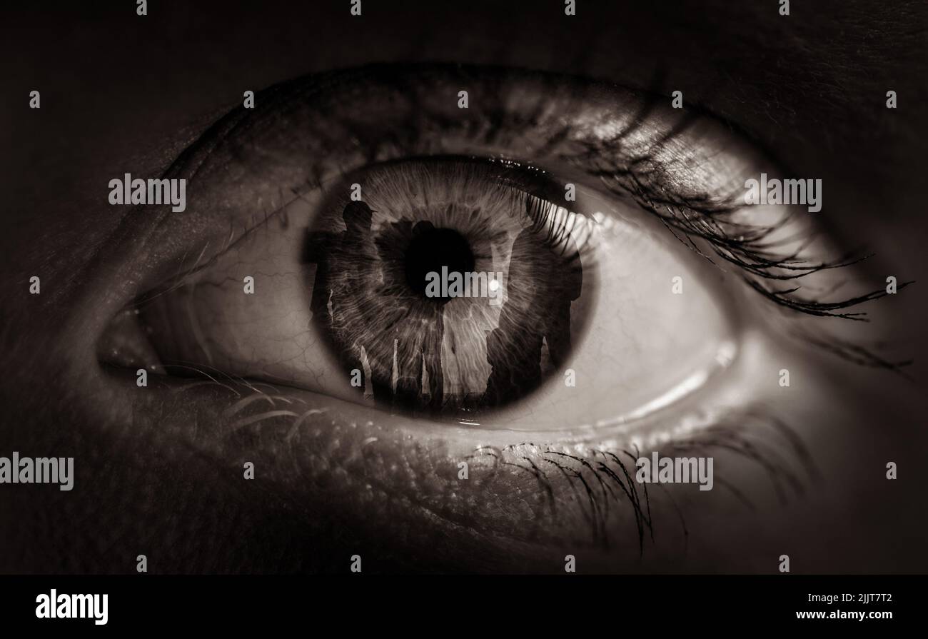 Selective perception hi-res stock photography and images - Alamy