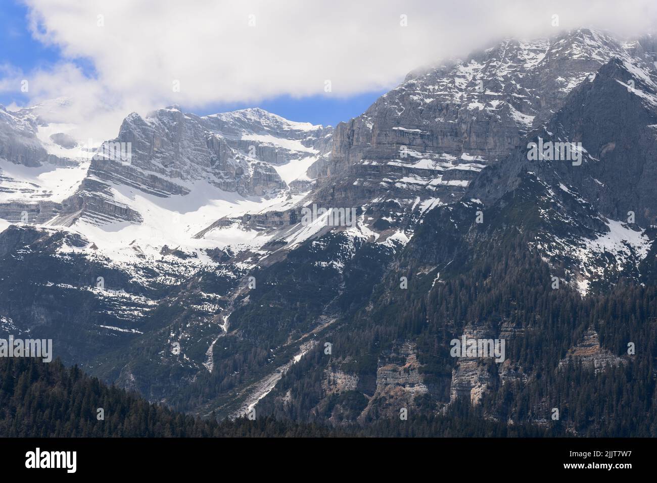 Alpine ecosystem hi-res stock photography and images - Alamy
