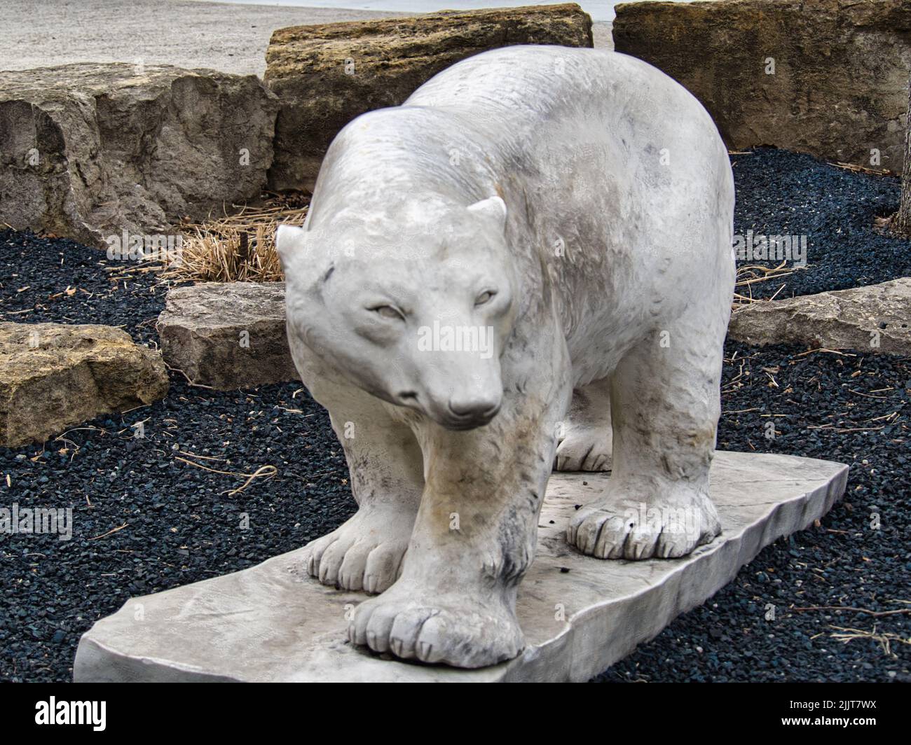 A Polar Bear statue in the city of Kansas, USA Stock Photo - Alamy