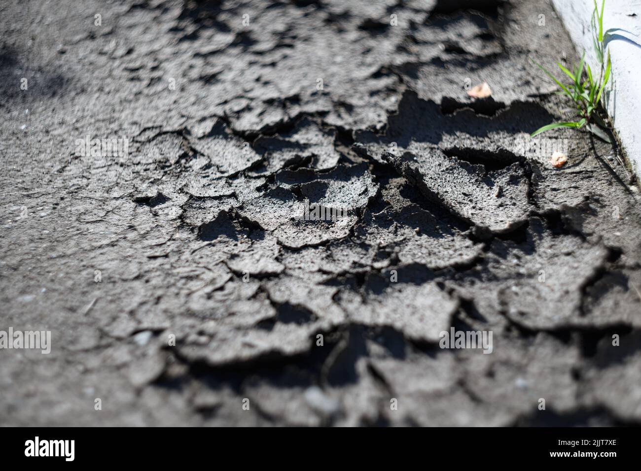 Mud (dried clay) as natural background Stock Photo - Alamy