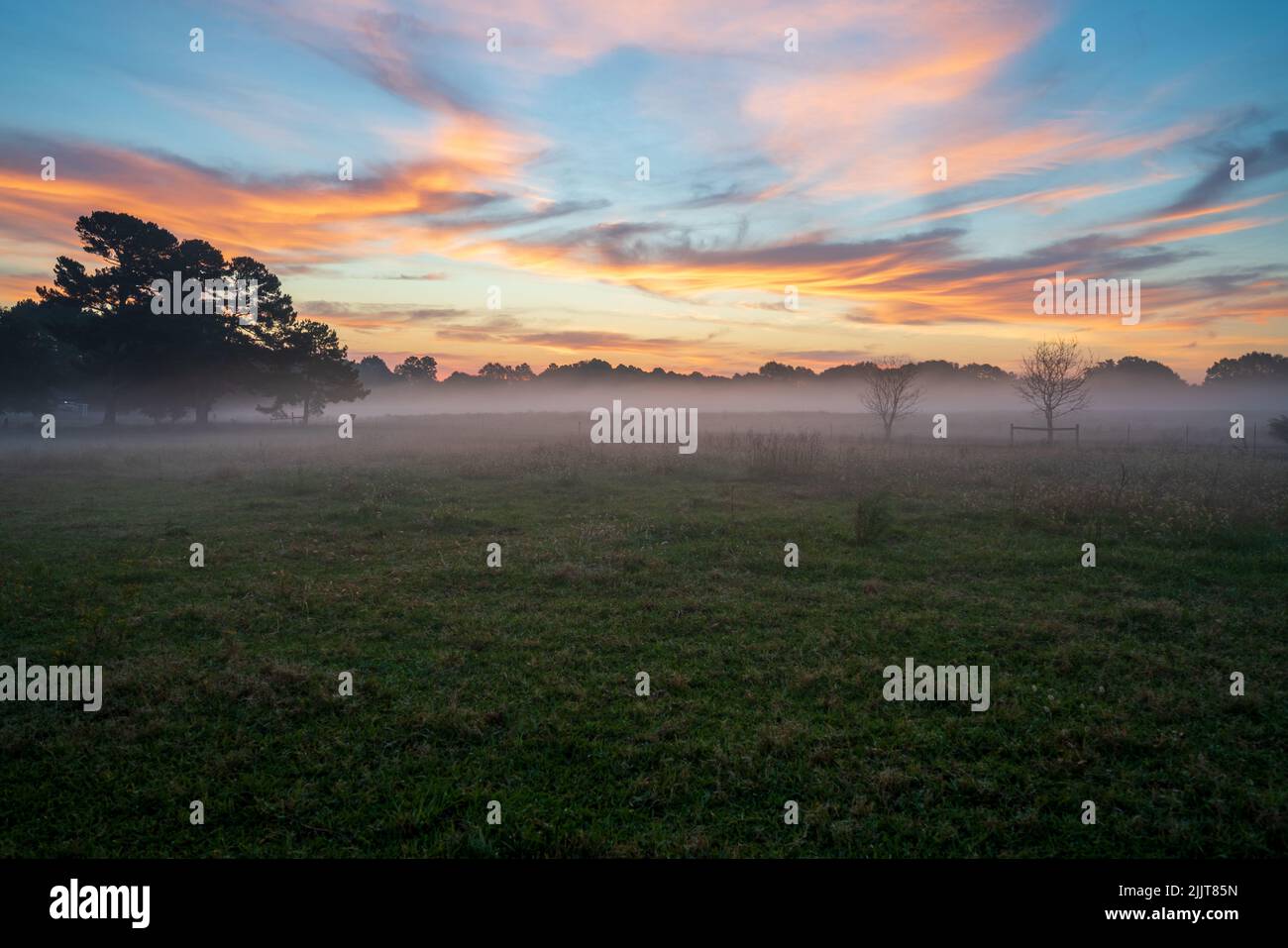 A ranch field covered with fog during sunrise Stock Photo - Alamy