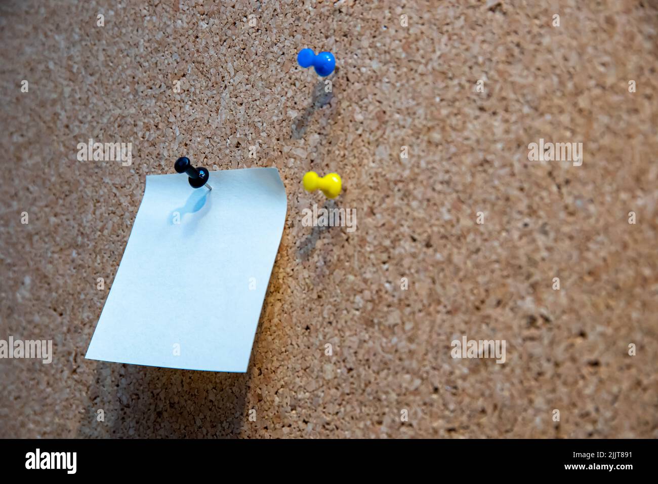 A piece of a blank paper pinned on a corkboard Stock Photo - Alamy