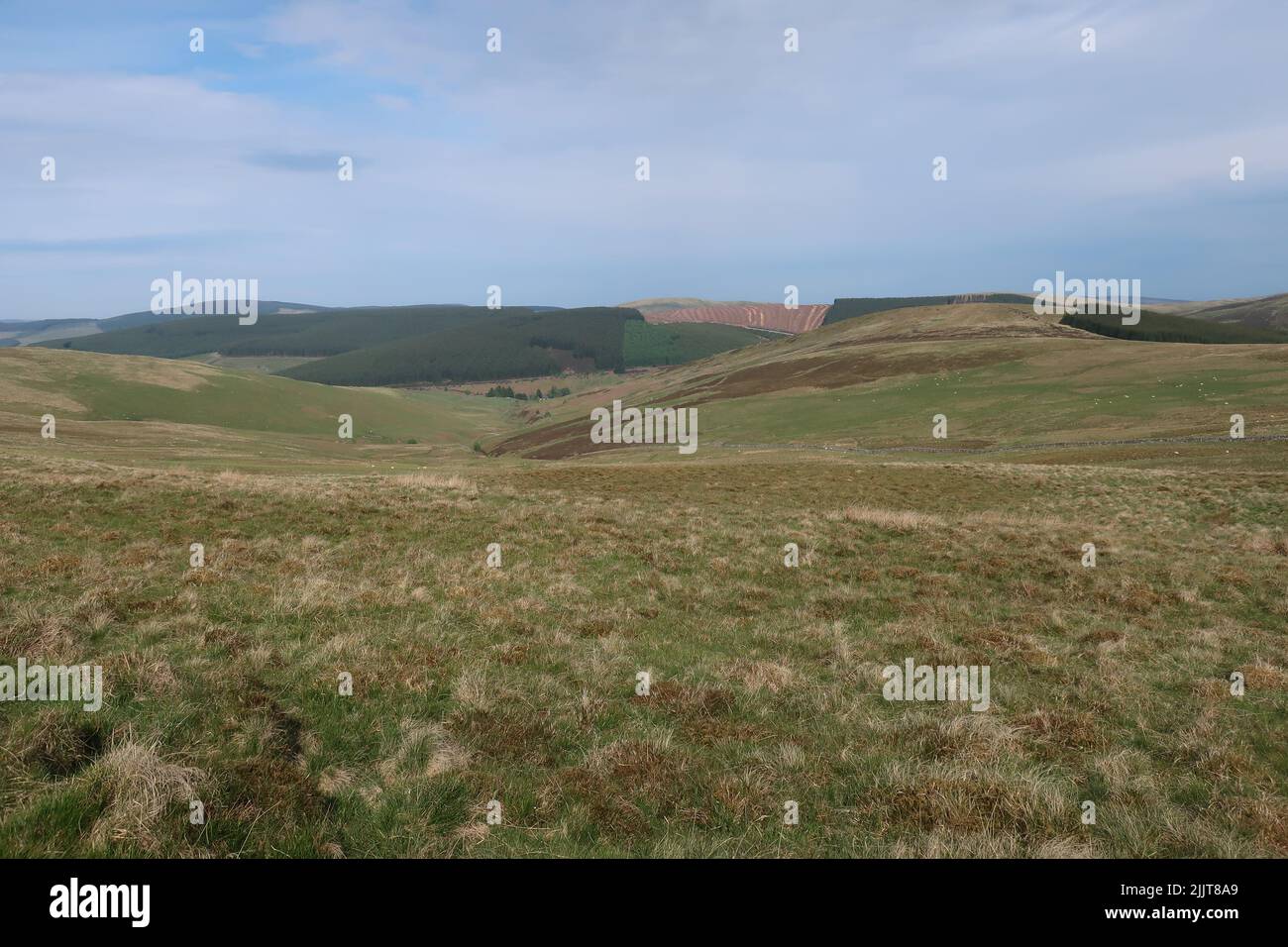 The Southern Upland Way Scotland's Great Trails long-distance footpath ...