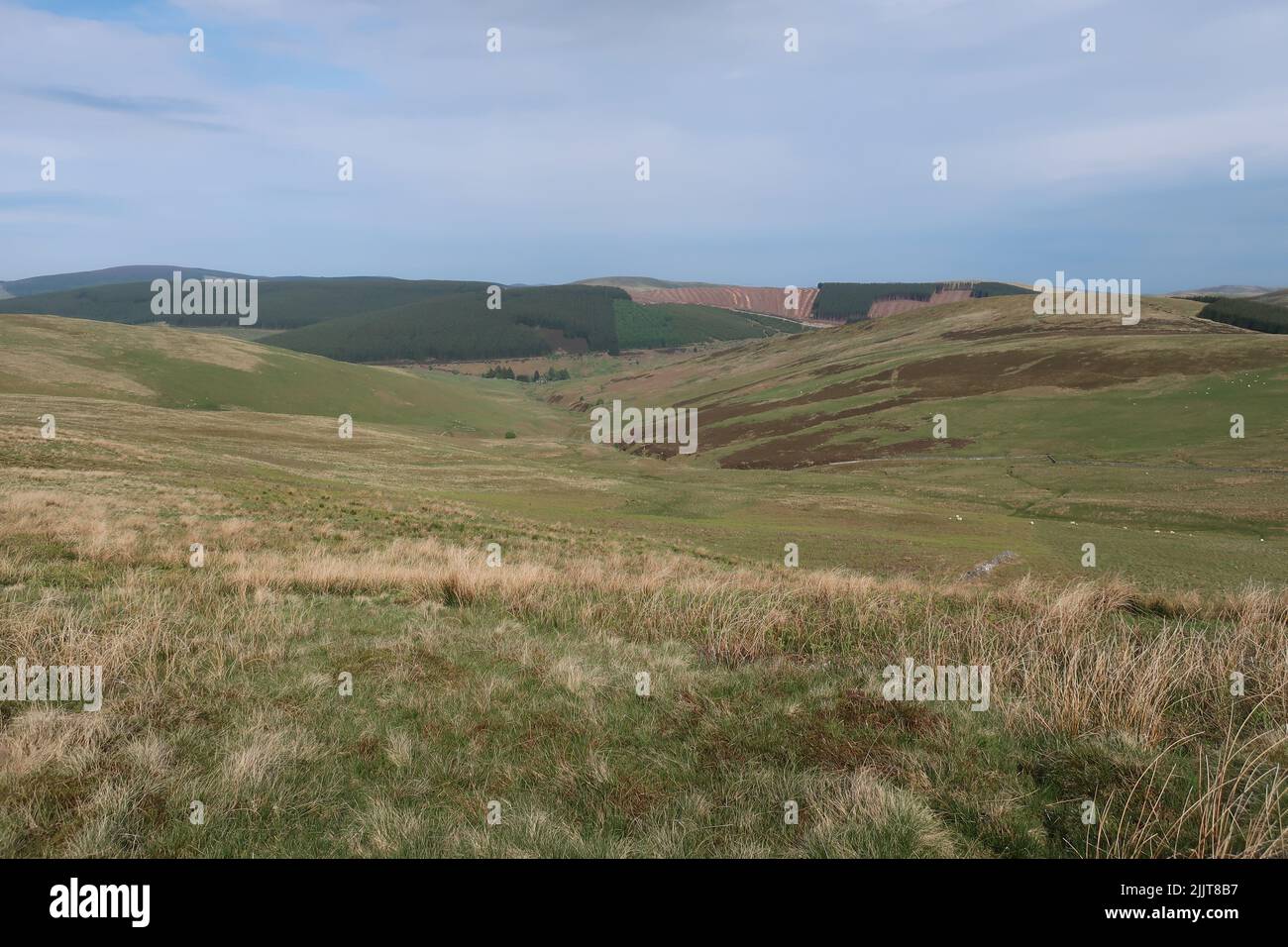 The Southern Upland Way Scotland's Great Trails long-distance footpath ...