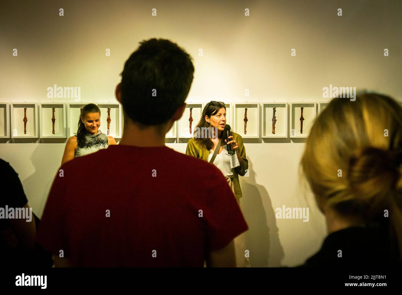 Guided tour of the first retrospective exhibition MADe IN CHINA by the ...