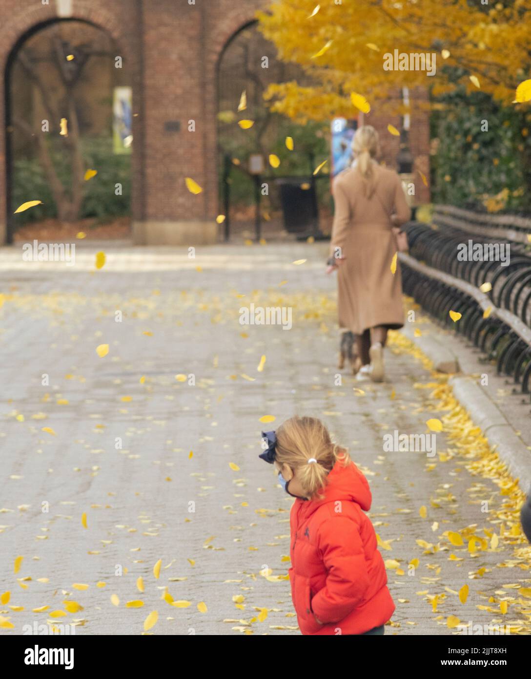 A fall day at the Central Park Zoo, NYC with leaves falling around ...