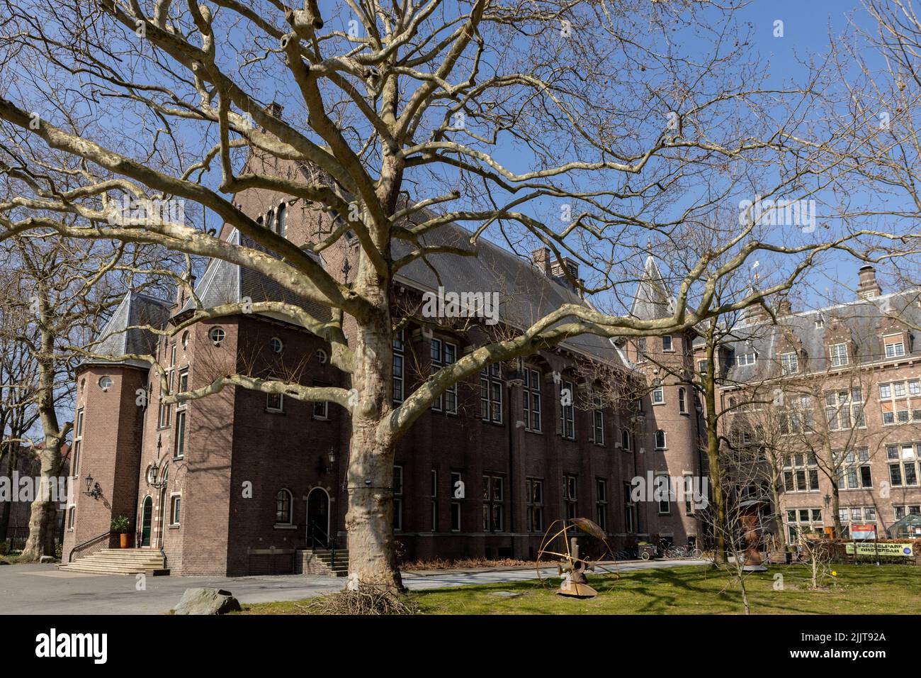 Winter barren trees in front of exterior facade architecture of ...