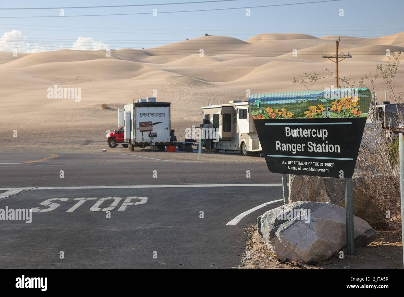 Buttercup dunes hi-res stock photography and images - Alamy