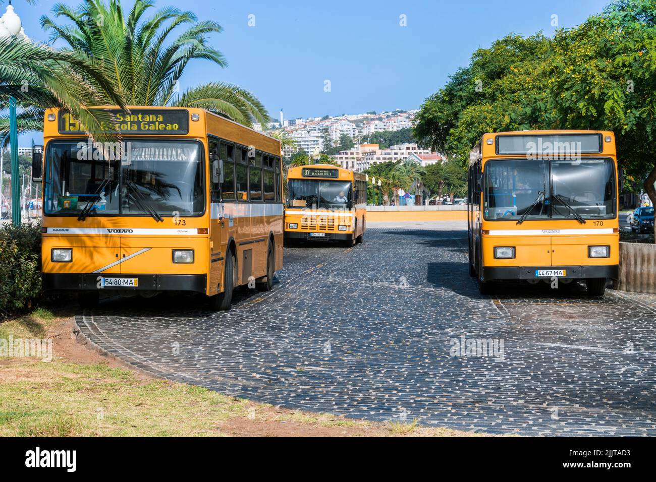 Urban madeira hi-res stock photography and images - Alamy