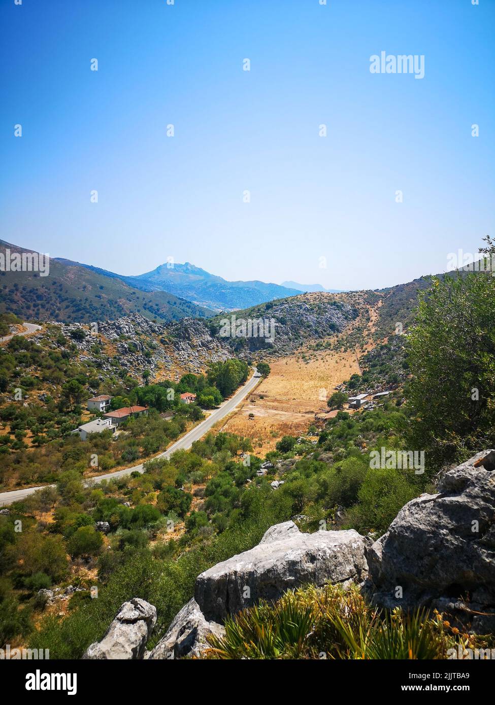 A vertical shot of a driving road in the middle of wild landscape Stock ...
