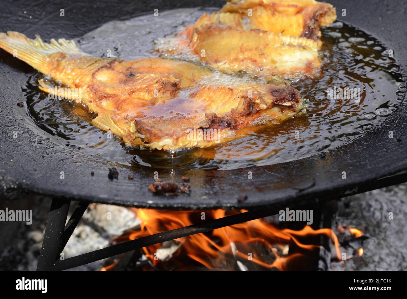 fried pieces of carp fish in a pan Stock Photo - Alamy