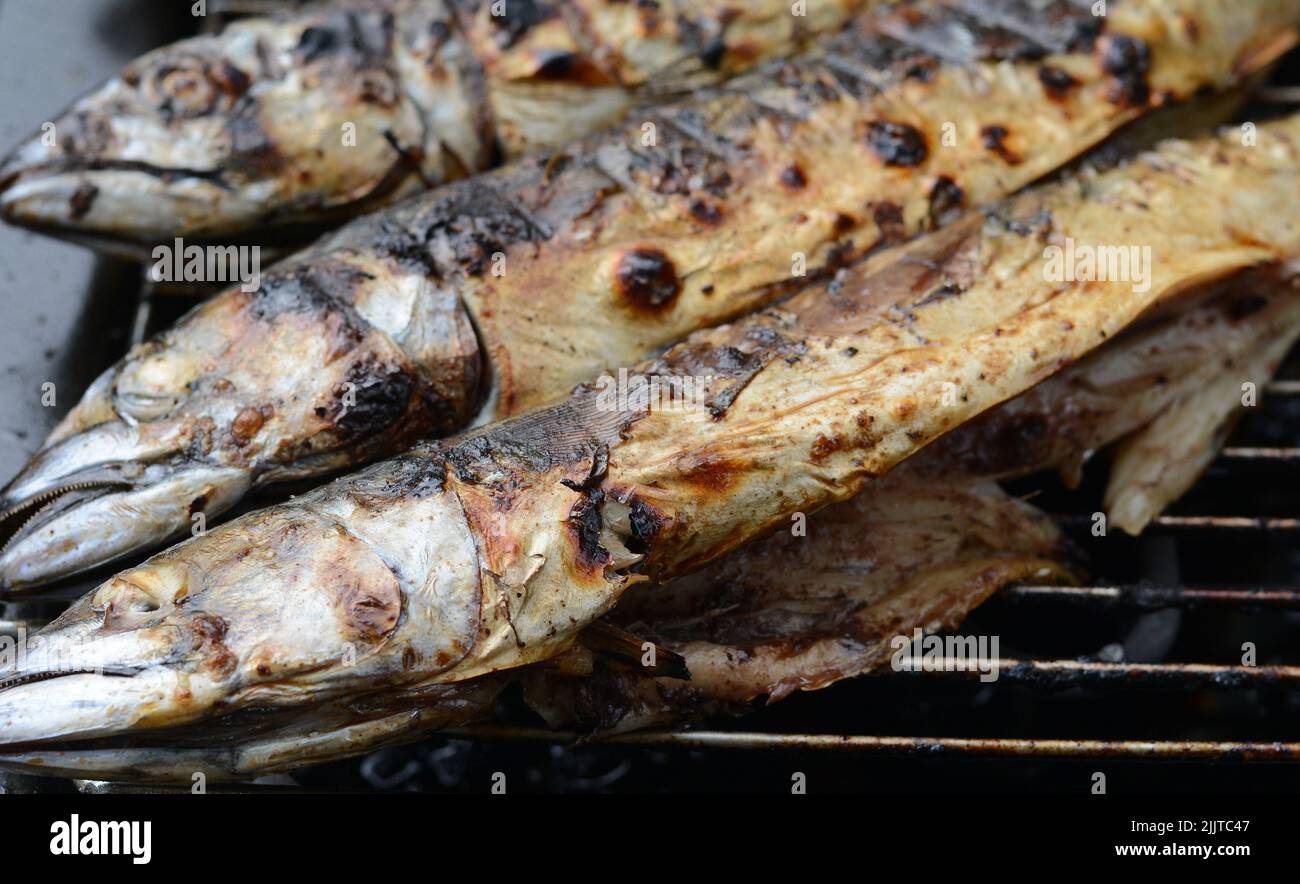 aromatic, background, bbq grill, board, brown, ceramic, cook, cooked ...