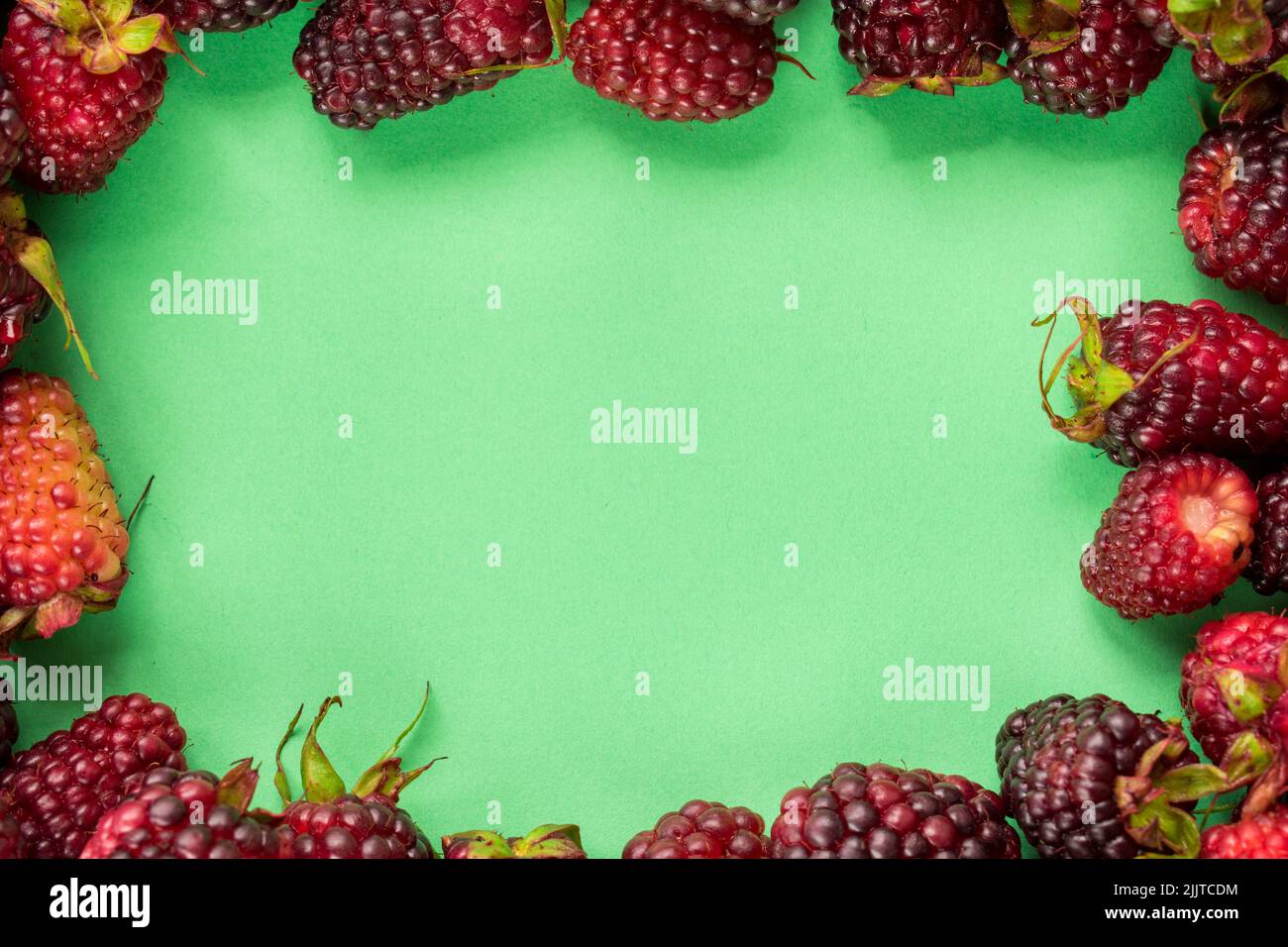 Green and red border hi-res stock photography and images - Alamy