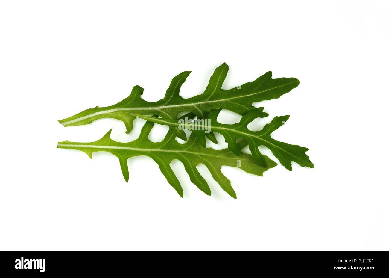 Fresh rucola isolated. Green ruccola leaves isolated Stock Photo - Alamy