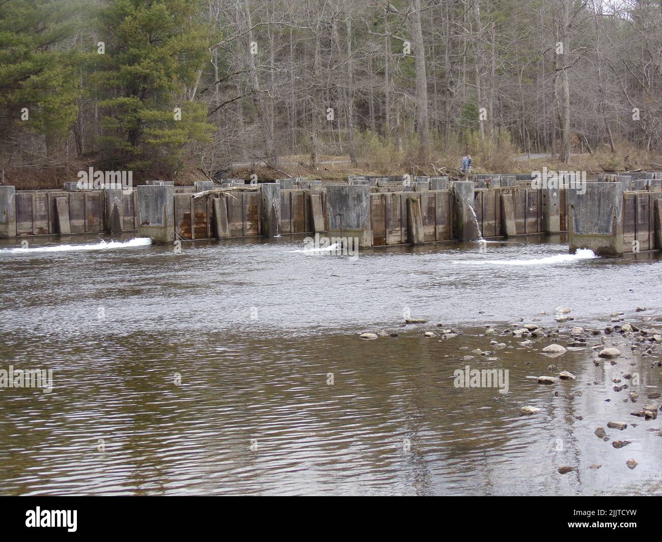 Old wooden barriers in a pond next to a forest with leafless trees ...