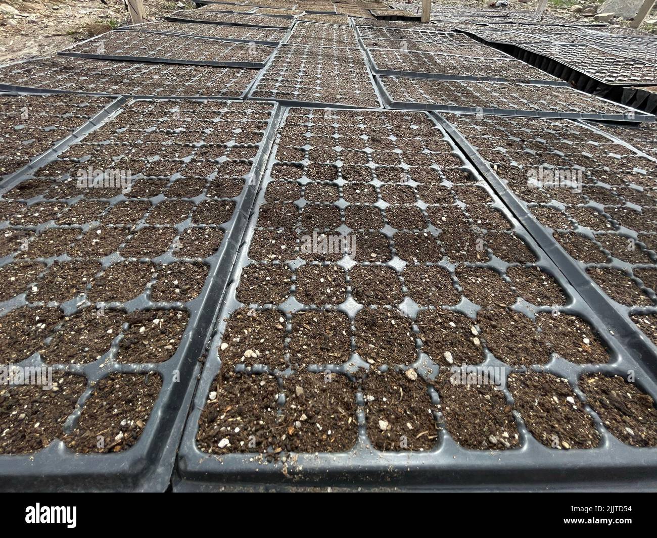 The first sowing of vegetable seeds at the farm Stock Photo - Alamy
