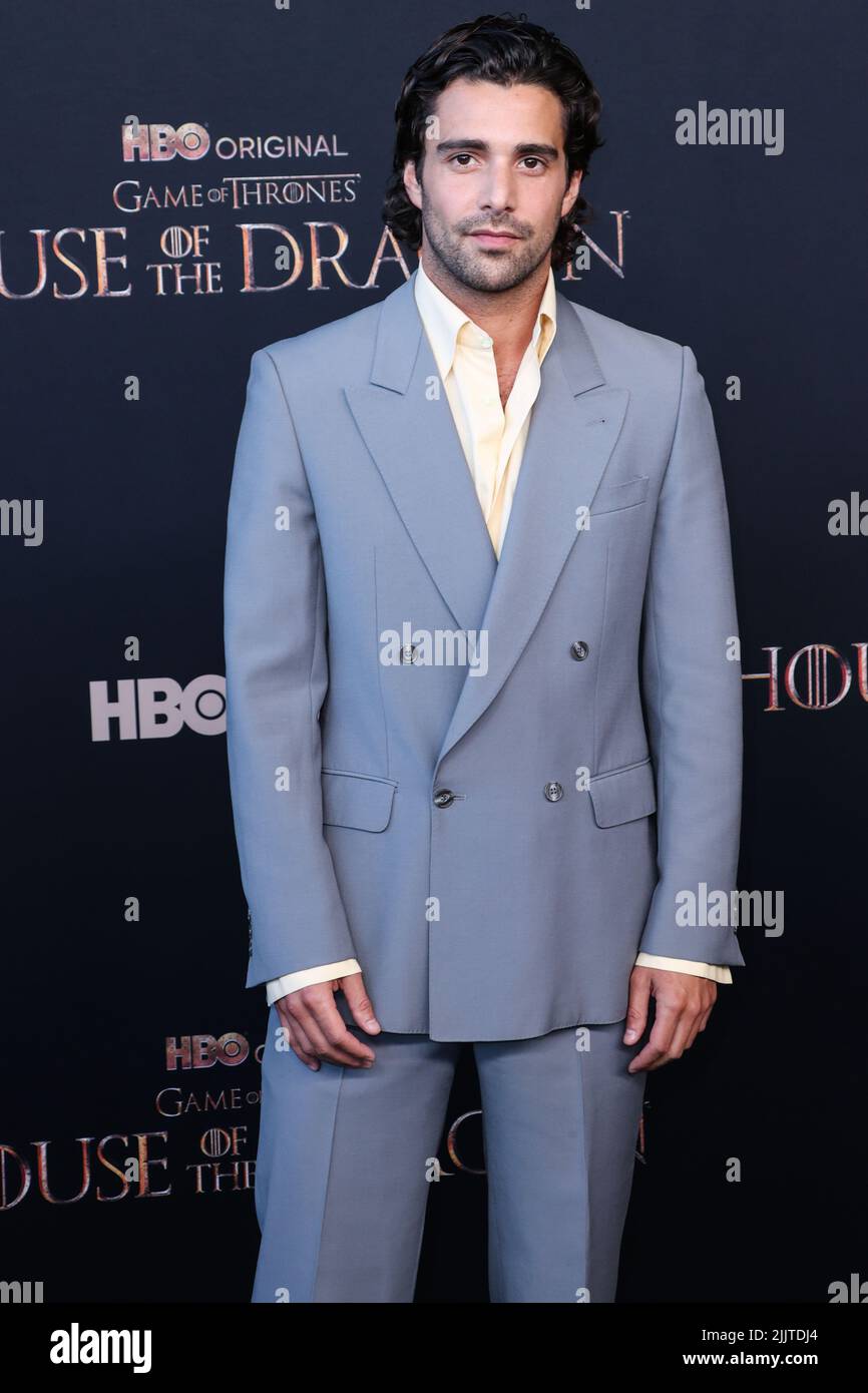 LOS ANGELES, CALIFORNIA, USA - JULY 27: English actor Fabien Frankel ...