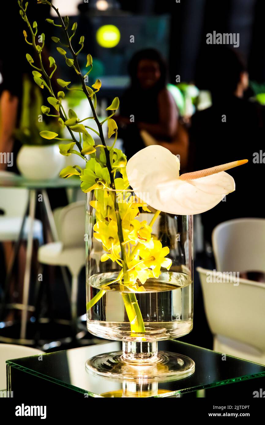 Elegant party hi-res stock photography and images - Alamy