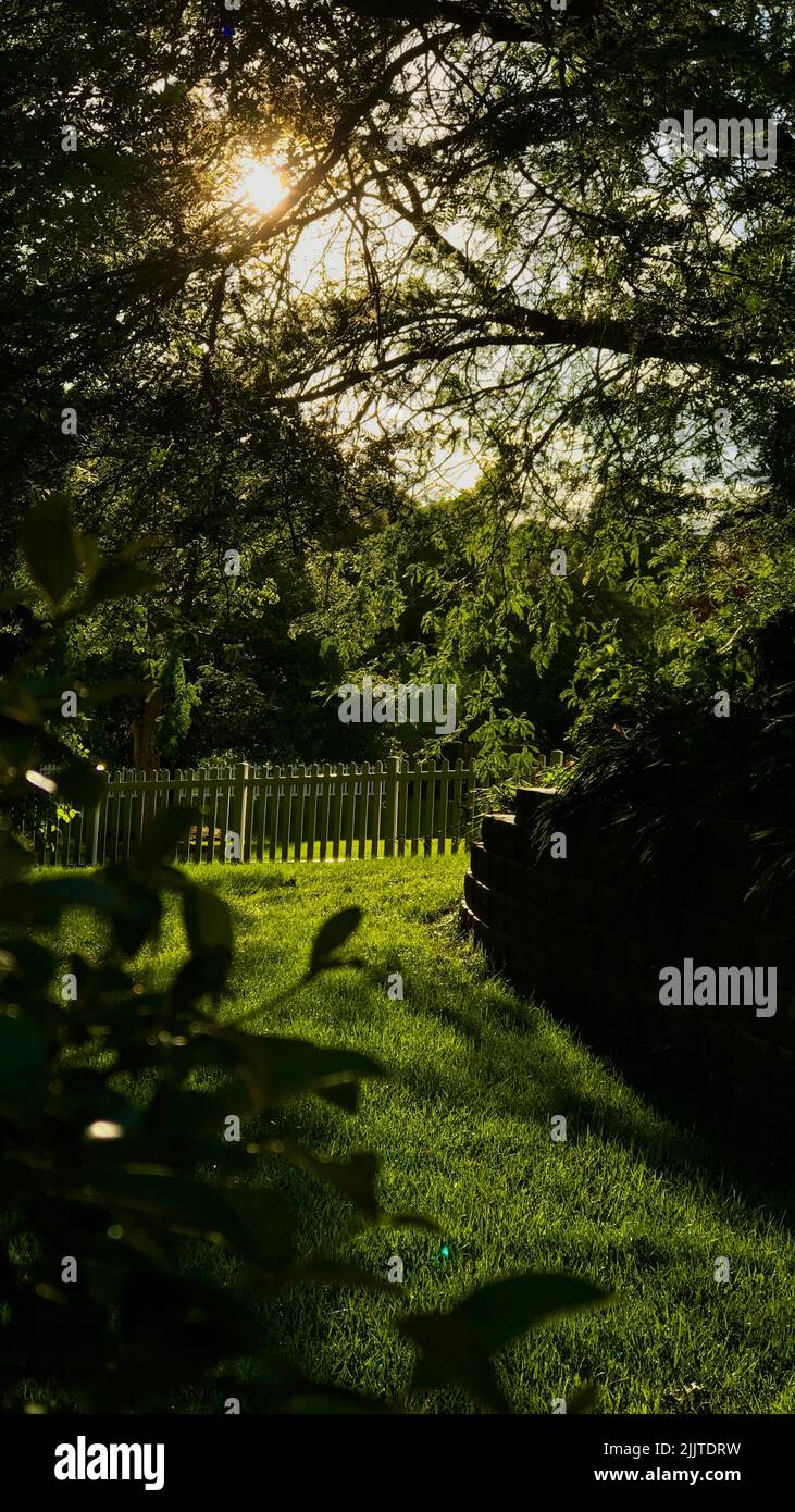 Beautiful field grass sunset hi-res stock photography and images - Alamy