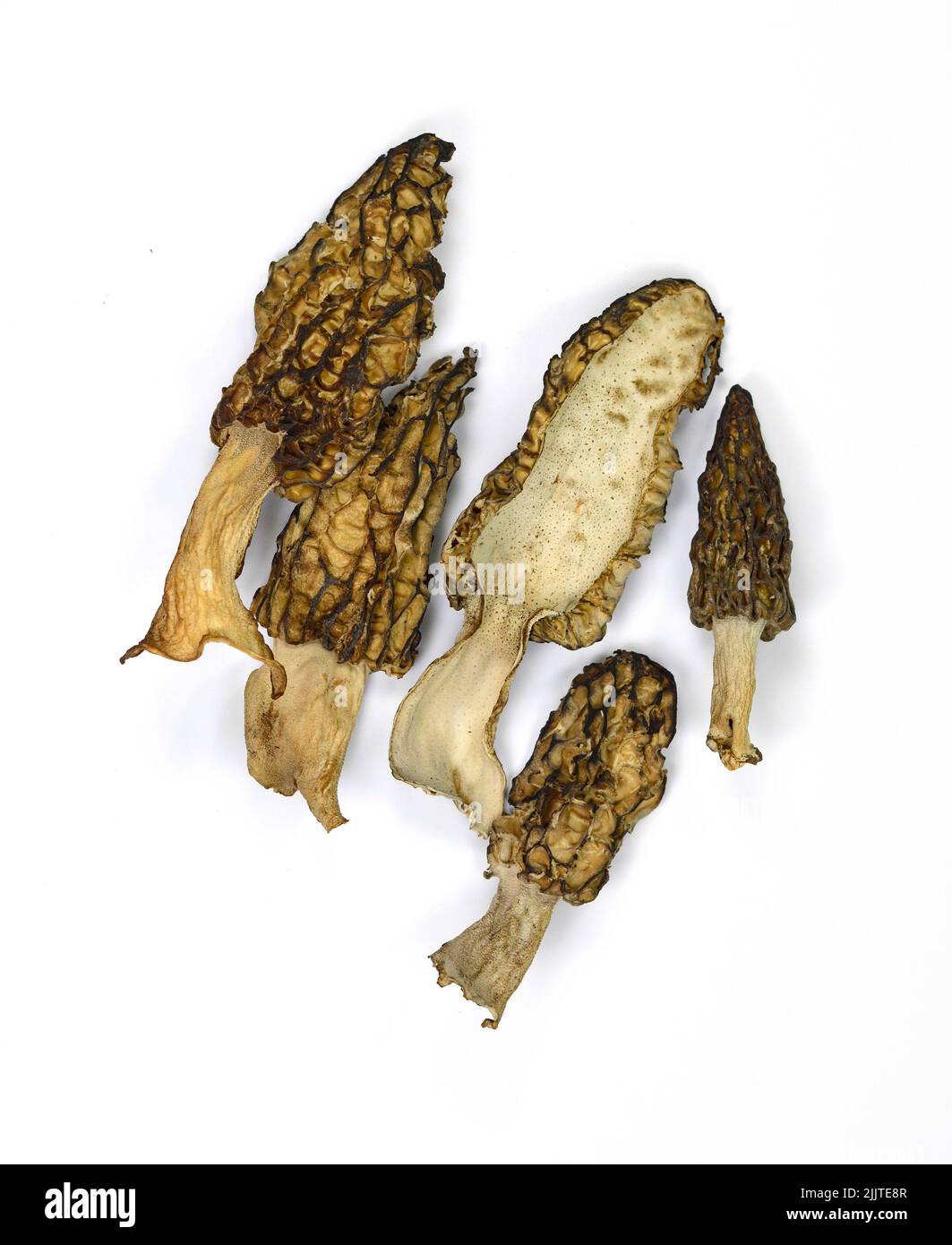 dried morel mushroom with stem isolated on white Stock Photo - Alamy