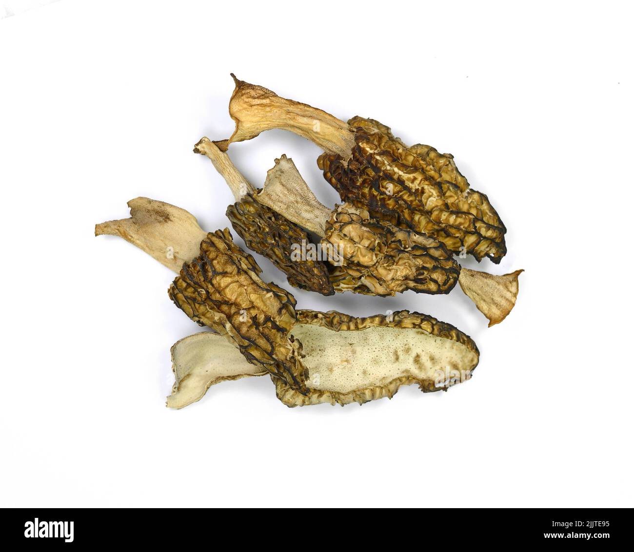 dried morel mushroom with stem isolated on white Stock Photo - Alamy
