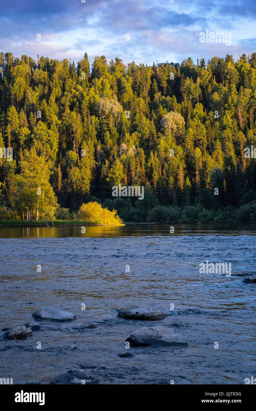 Forest banks hi-res stock photography and images - Alamy