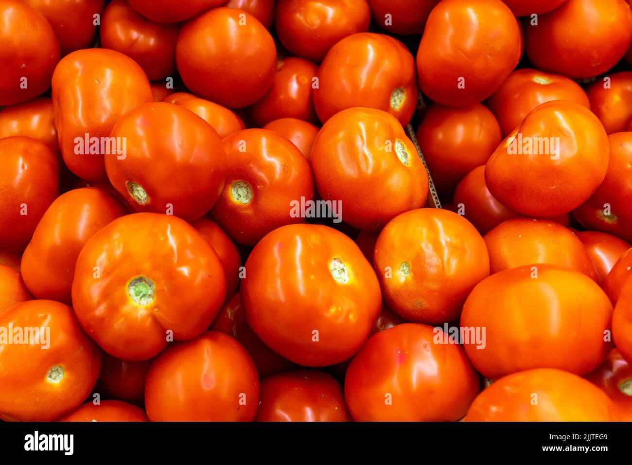 Close up of many fresh red tomatoes big fruit type Stock Photo - Alamy
