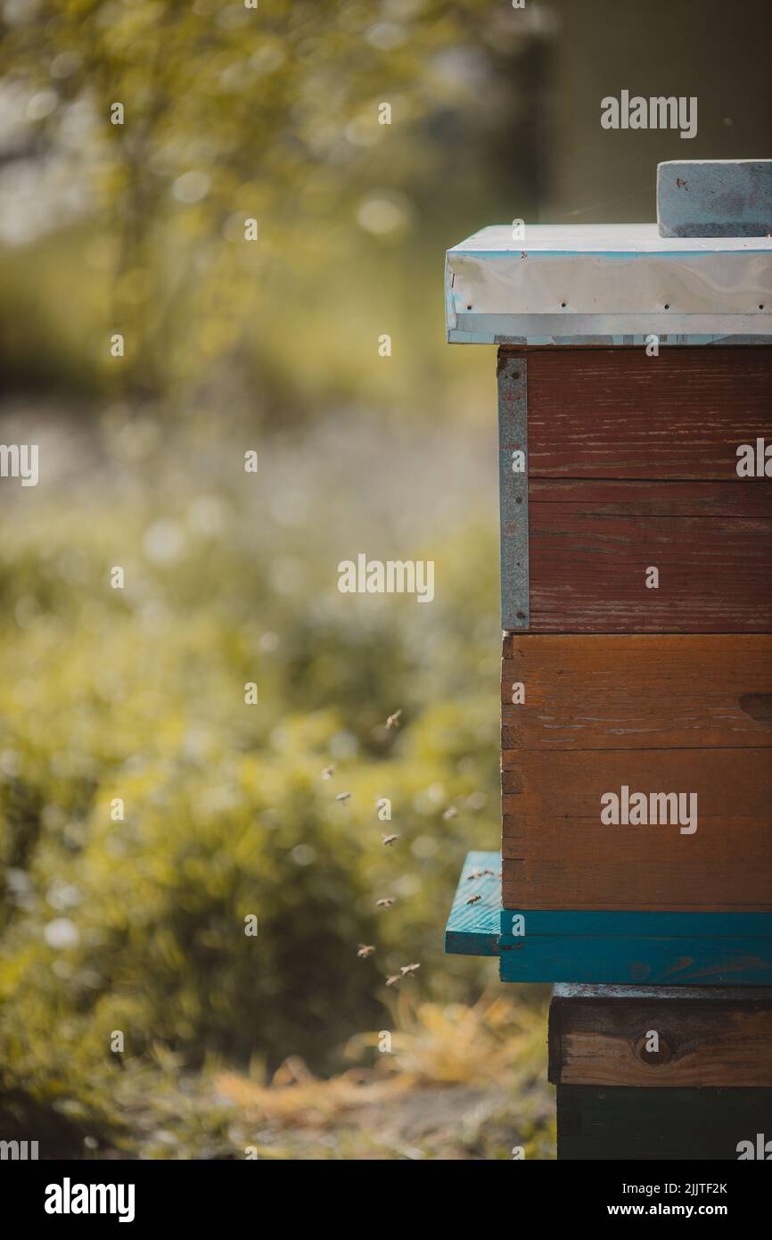 A vertical closeup shot of a colorful bee house over a blurry ...