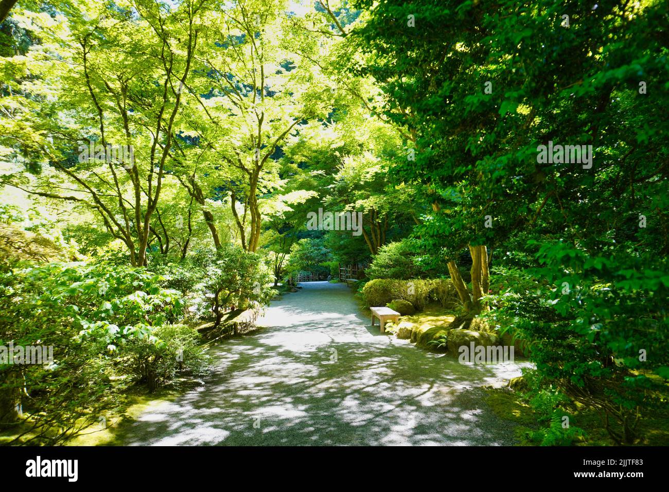 Outdoor park path hi-res stock photography and images - Alamy